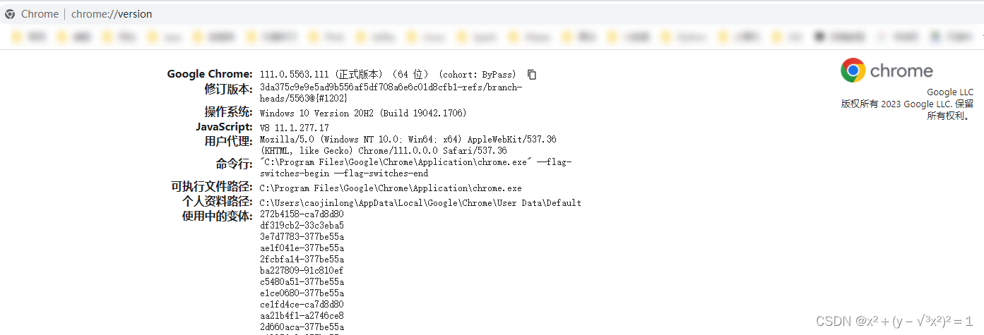 查看 chrome driver 版本号，及下载_如何查看chromedriver版本-CSDN博客