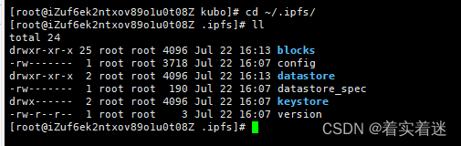 linux 安装ipfs —— IPFS环境配置_jetbra.in checker | ipfs-CSDN博客