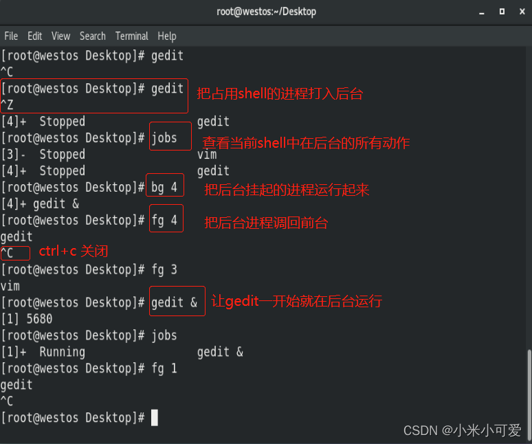 Linux中的进程管理linux进程管理 Csdn博客 