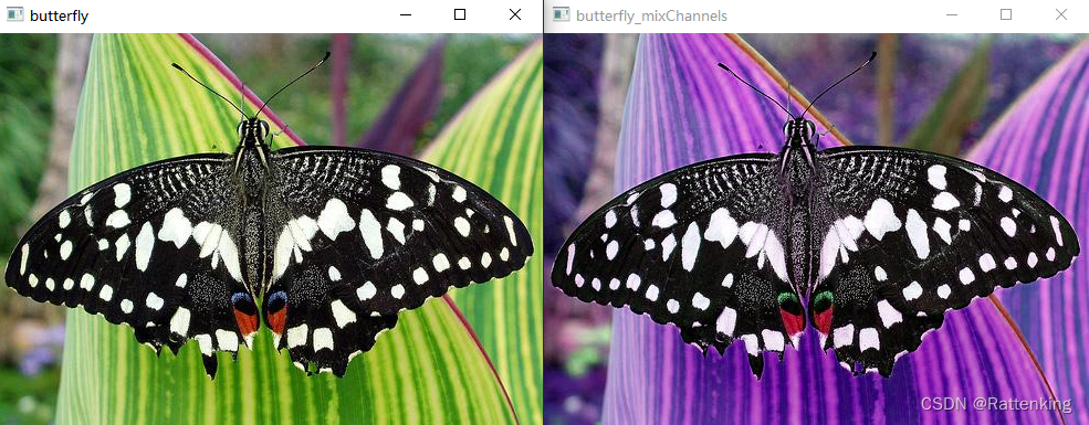 OpenCV-Python学习（9）—— OpenCV 通道的分离与合并(cv.split、cv.merge、cv.mixChannels、cv.inRange)_cv2.split-CSDN博客