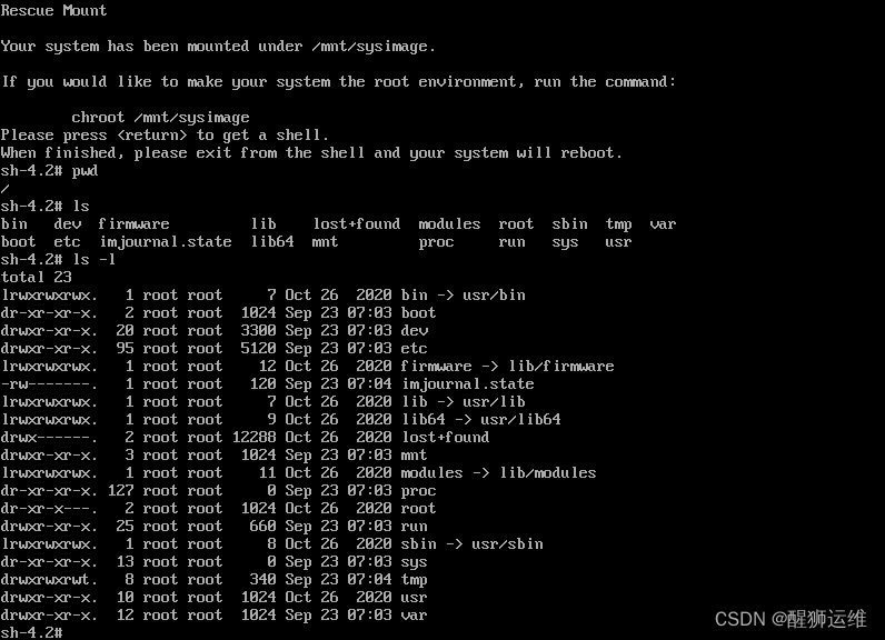 CentOS误删系统文件，误删根目录软连接/bin /sbin /lib /lib64，恢复教程_lib64软连接被删除后如何创建软连接-CSDN博客