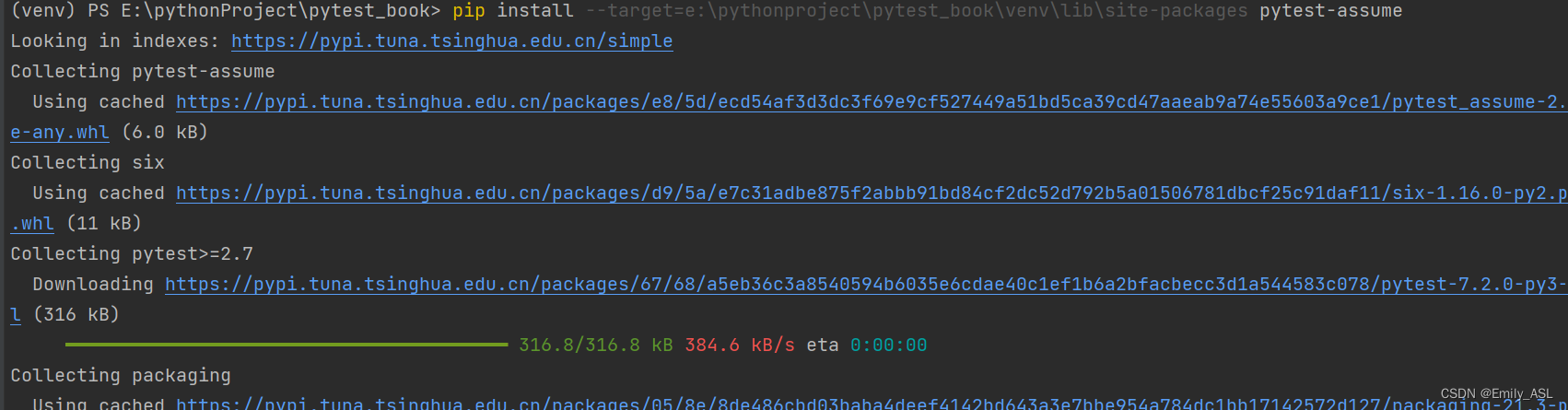 pip install安装软件包报错_pip install --target-CSDN博客