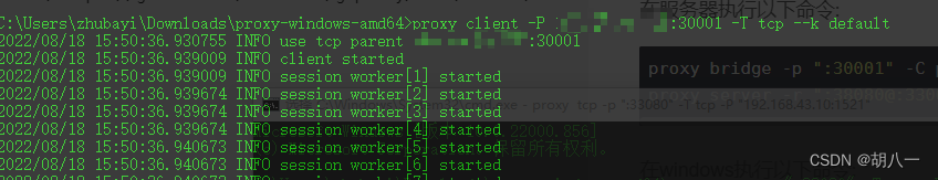 goproxy实现windows的mysql的内网穿透_goproxy 教程-CSDN博客