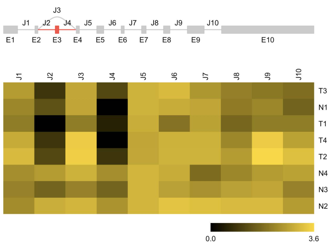 可变剪接分析流程（rMATS）-CSDN博客