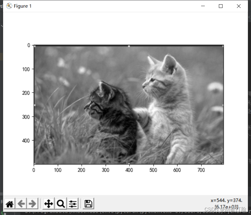 NNDL 作业5：卷积_cmap='gray-CSDN博客