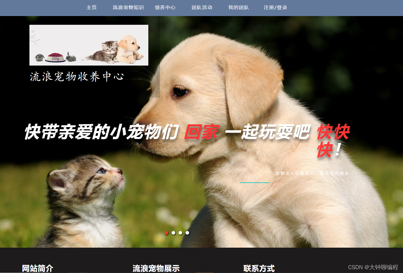 计算机毕业设计系列基于ssm的宠物领养管理系统基于ssm的宠物管理系统的项目发布介绍 Csdn博客