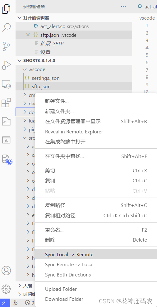 【开发工具】【windows】Visual Studio Code(VS Code)远程Linux服务器环境搭建——SFTP篇_vs code sftp-CSDN博客