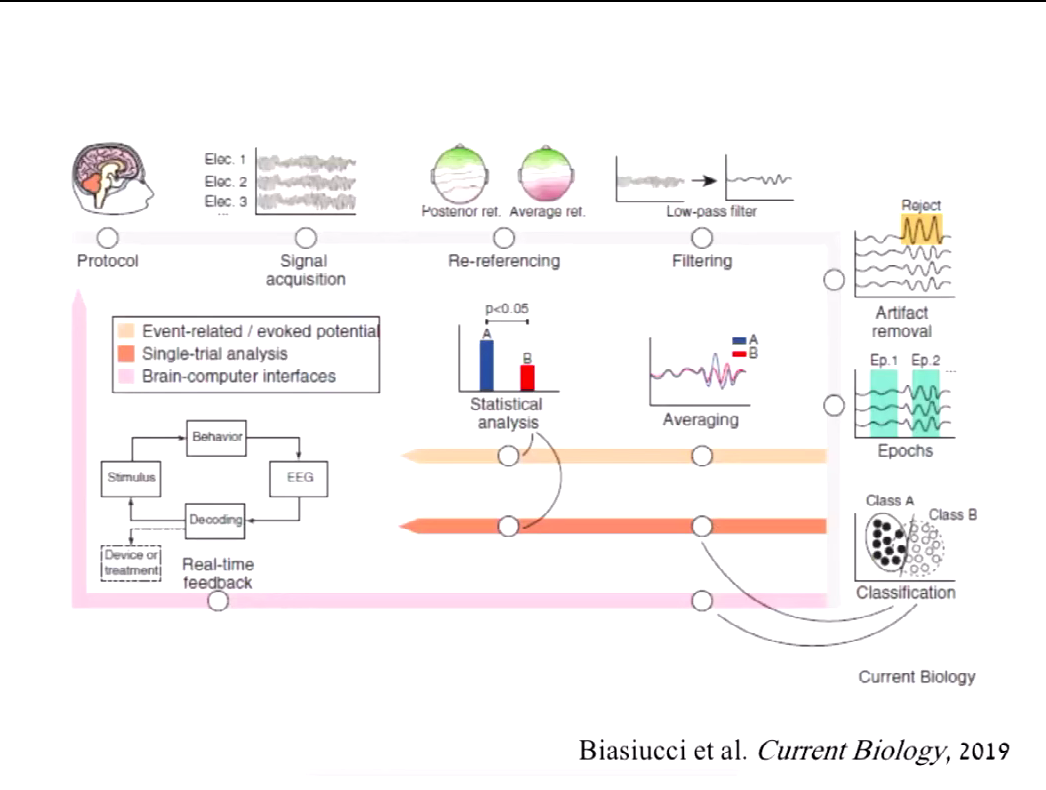 脑电实验设计的原理与实例-EEG Processing and Feature 4-CSDN博客