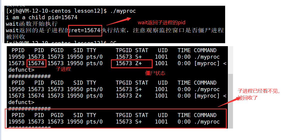 【Linux】进程控制（wait 和 waitpid）的理解和使用_ret-wait-CSDN博客