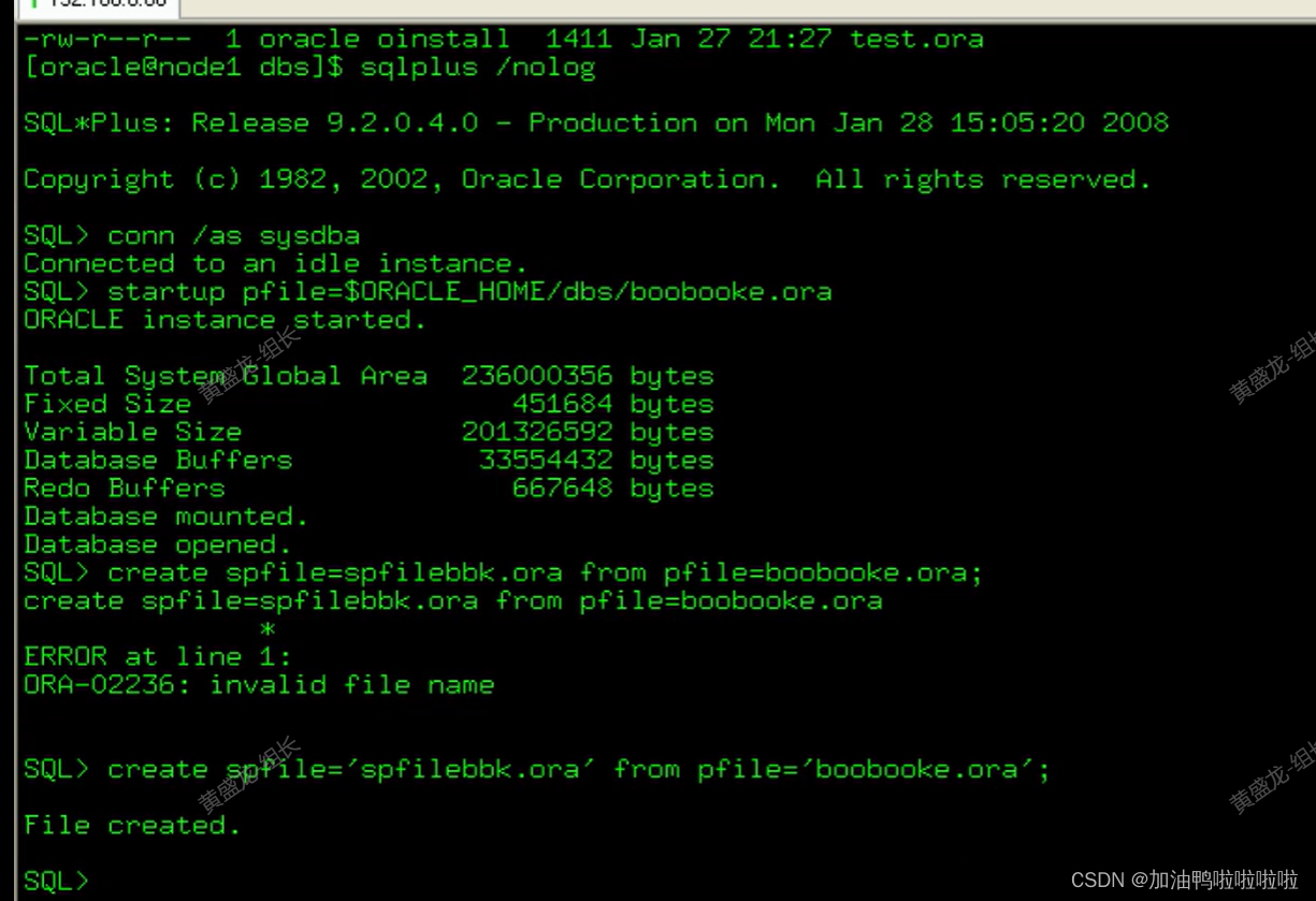 oracle小布老师笔记_oracle文件格式-CSDN博客