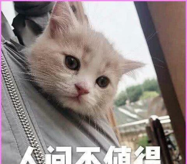 OpenWRT, IPK software package generation - HelloWorld - Programmer Sought