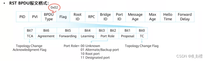 STP接口状态，RSTP协议，MSTP协议_stp 根端口断开-CSDN博客