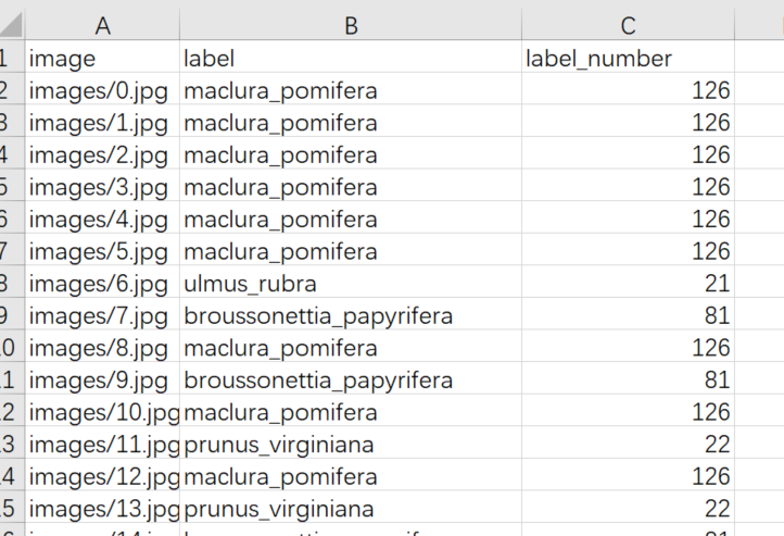 pytorch环境根据CSV文件加载数据集(Kaggle-test)_pytorch读取csv数据集-CSDN博客