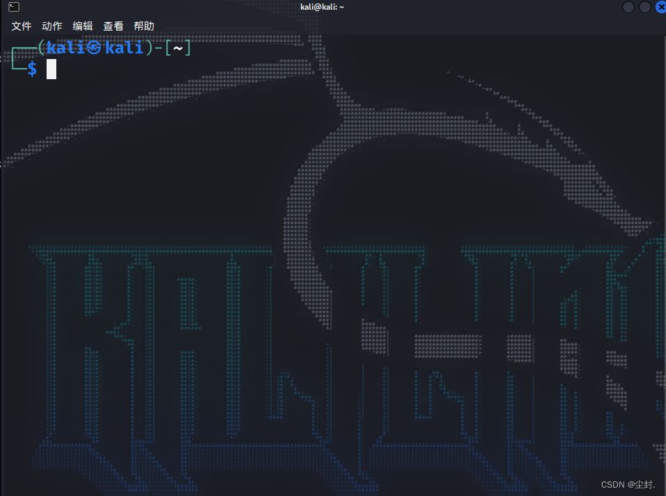 kali系统的基础设置_kali怎么把字体放大-CSDN博客