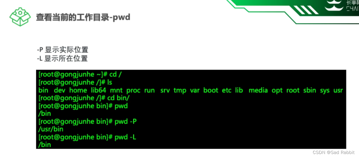 linux1——linux常用命令_errls-CSDN博客