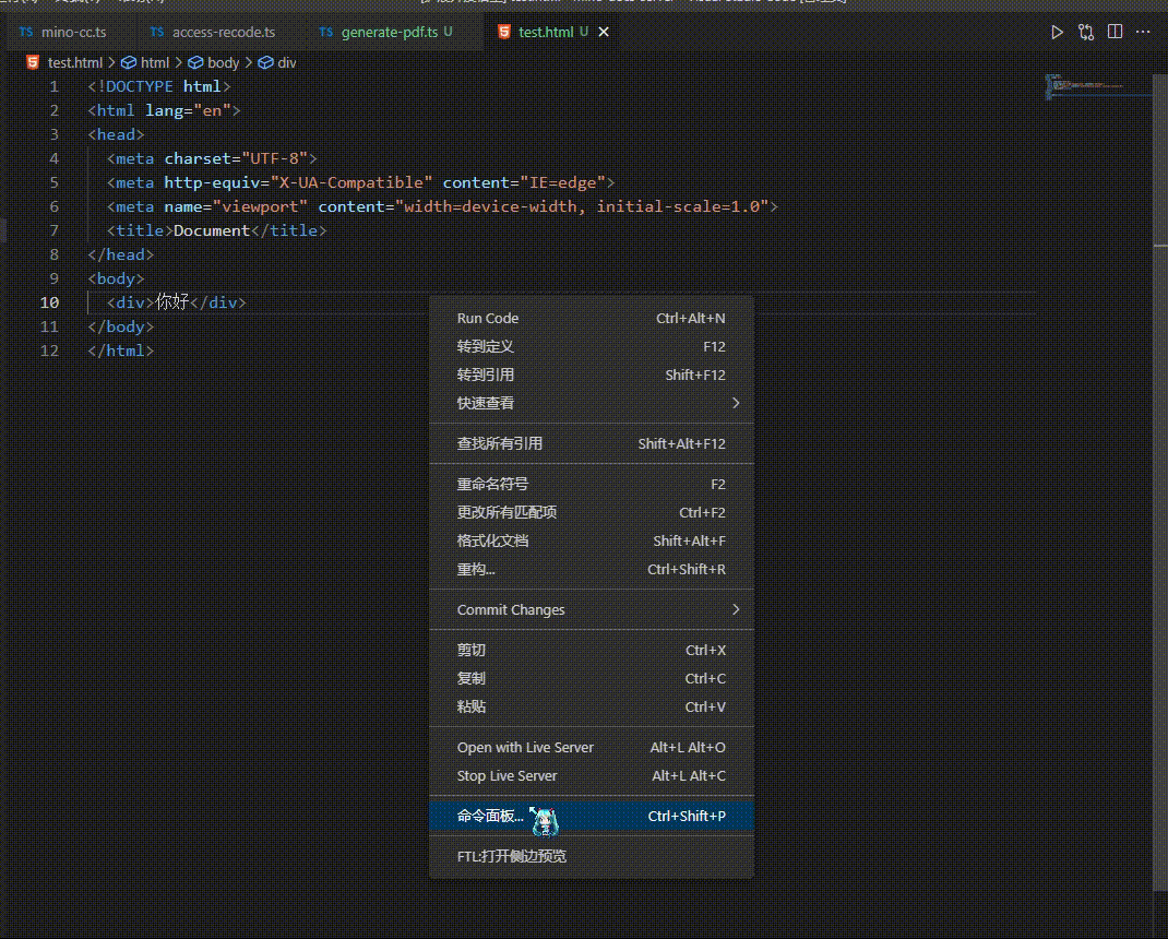 vscode 插件开发：右键菜单定制 & 预览视图 & HTML/FTL/PDF 预览_vscode右侧视图-CSDN博客