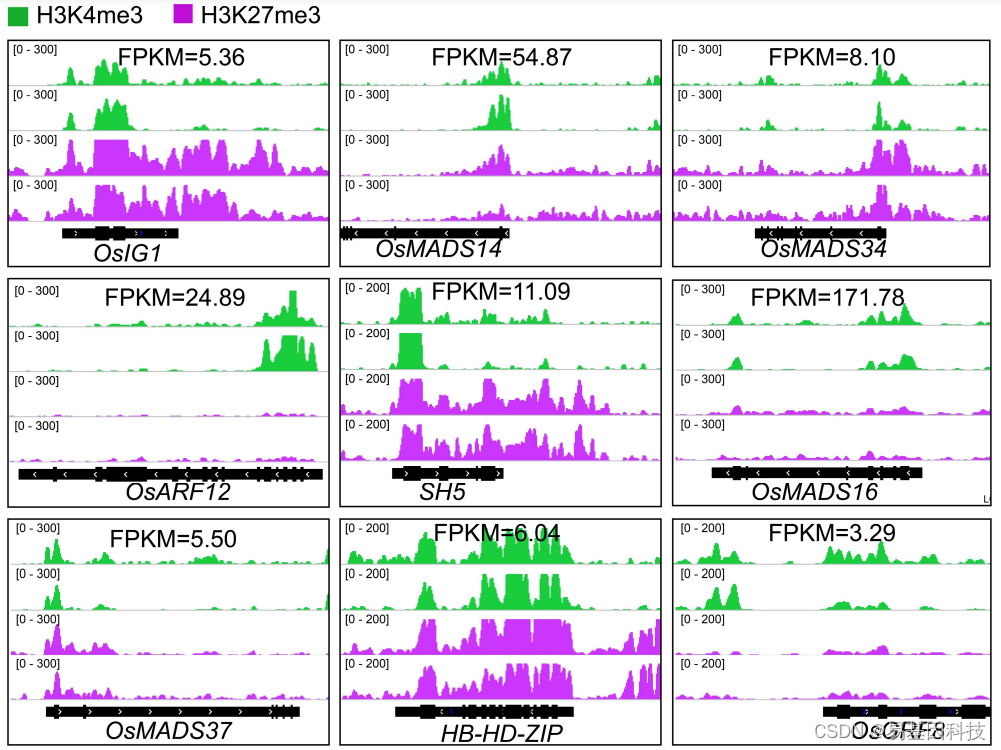 易基因｜PBJ文章：微量ChIP-seq揭示水稻减数分裂细胞的组蛋白修饰基因转录调控-CSDN博客