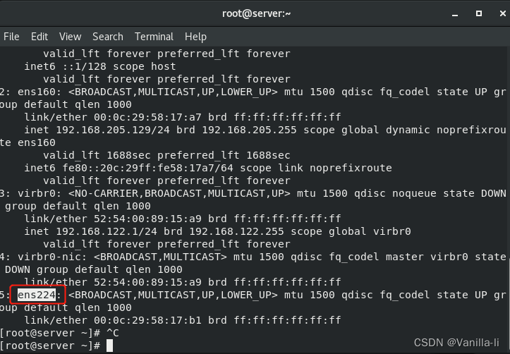 远程连接linux系统和将虚拟机的网络连接模式分别调换成仅主机模式、nat模式、桥接模式并获取ip地址使用ssh通过不同用户远程连接_虚拟机linuxssh远程连接-CSDN博客