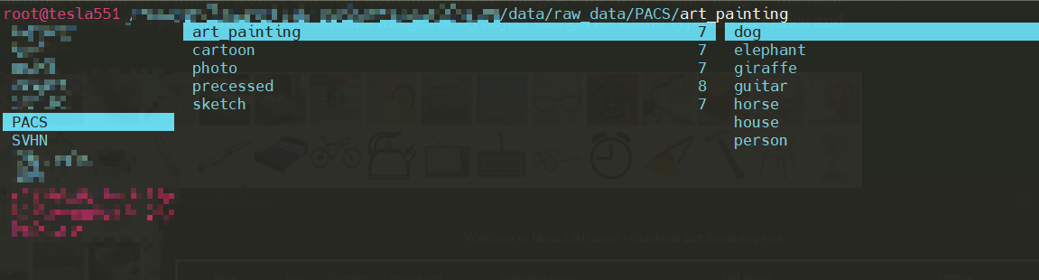 迁移学习之Multi-Domain Adaptation多领域自适应常用数据集PACS介绍_pacs数据集-CSDN博客