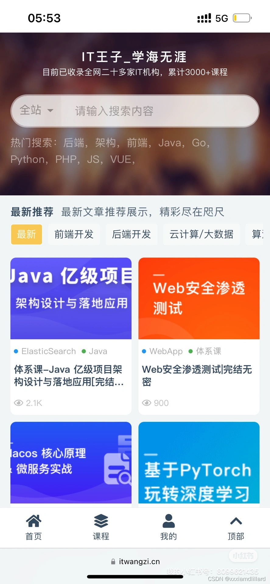 分享it学习网站_itwangzi-CSDN博客