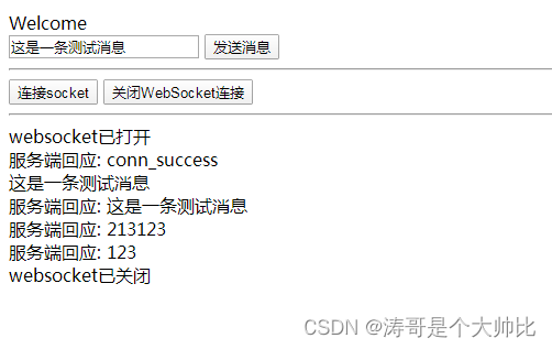 Springboot集成websocket进行前后端通信前后端socket对接 Csdn博客