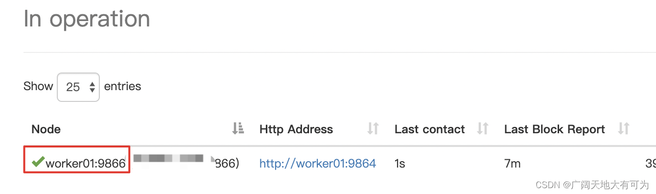 Hdfs Api 上传文件报错 File Dawang3txt Could Only Be Written To 0 Of The 1 Minreplication Nodes 