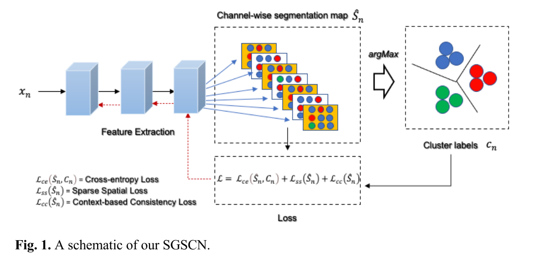 (sgscna Spatial Guided Self Supervised Clustering Network For Medical