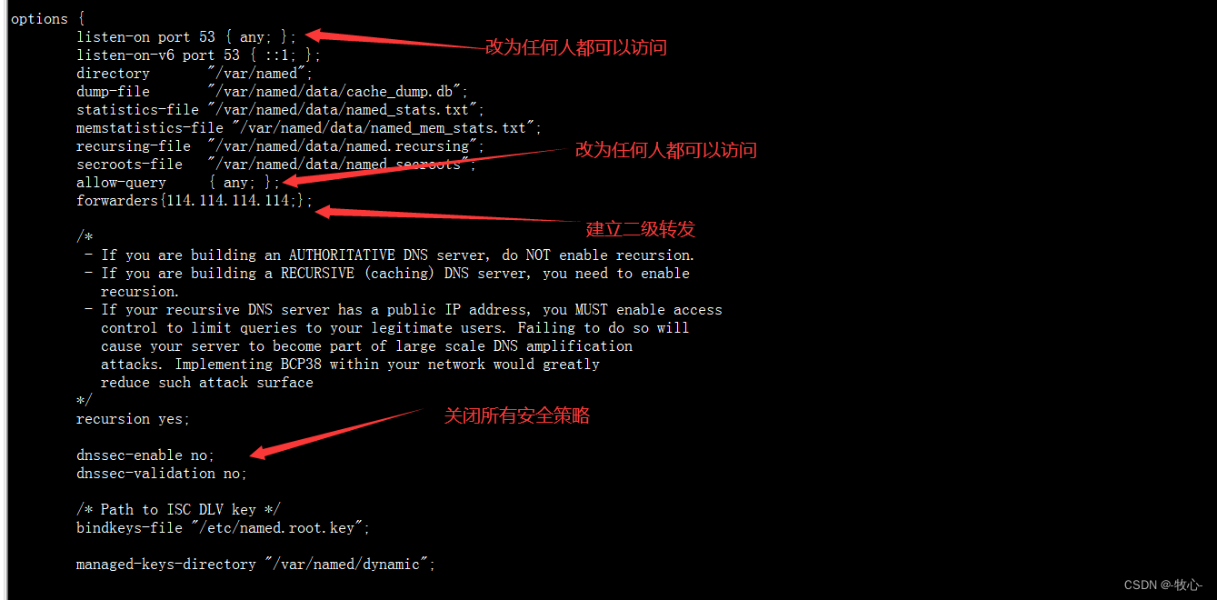 centos7 中的部署主从DNS服务器_centos 7 nis 从服务器-CSDN博客