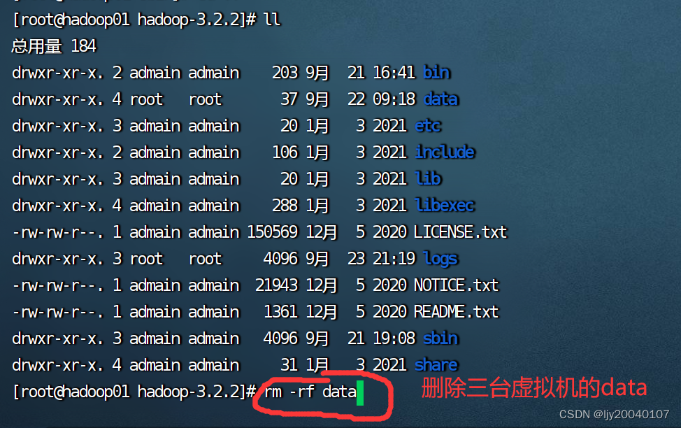 hadoop启动后jps进程没有Datanode进程的解决方法_jps没有datanode进程-CSDN博客