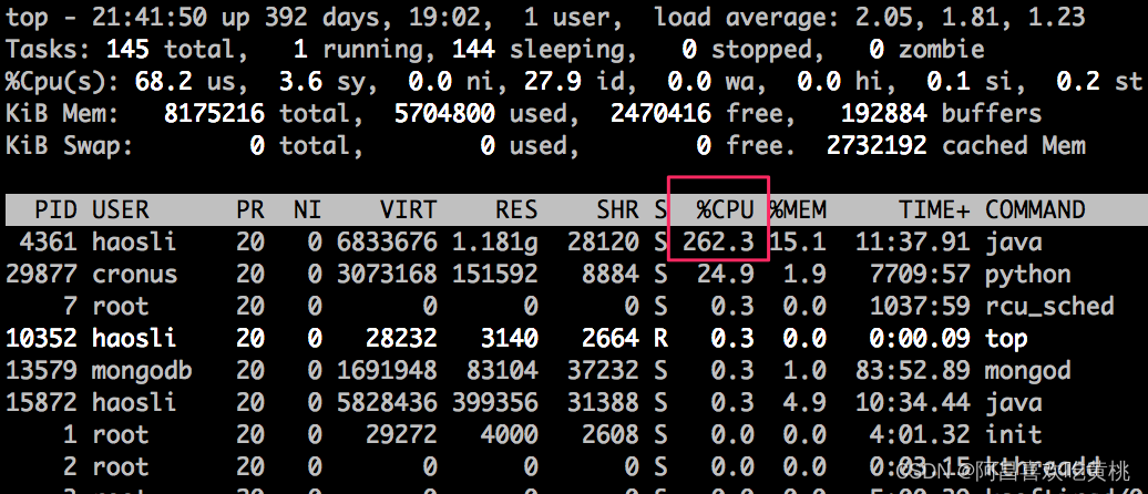 Day706.Tomcat进程占用CPU过高怎么办 -深入拆解 Tomcat & Jetty_tomcat中taskqueue类占用的cpu时间高-CSDN博客