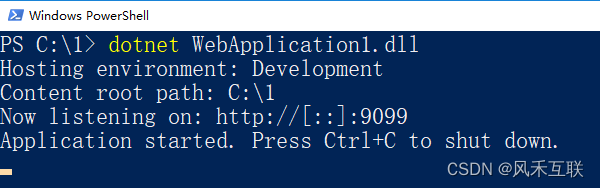 你需要知道的这几种 asp.net core 修改默认端口的方式_c# webhost 发布的端口-CSDN博客