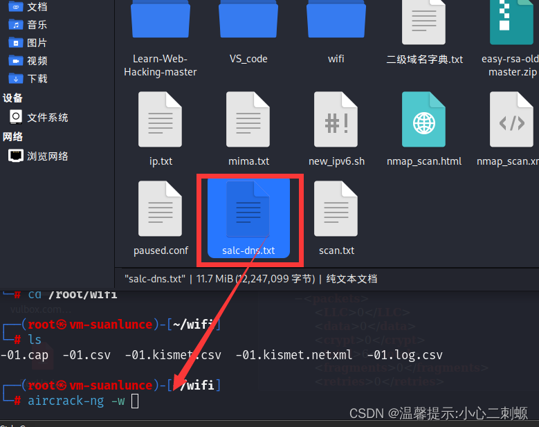 kali破解wifi之airmon-ng 工具利用-CSDN博客
