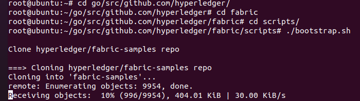 Ubuntu20.04下安装fabric2.4环境 从零开始超详细步骤【亲测有效】及Hyperledger Explorer安装_apt-get install git curl wget ...