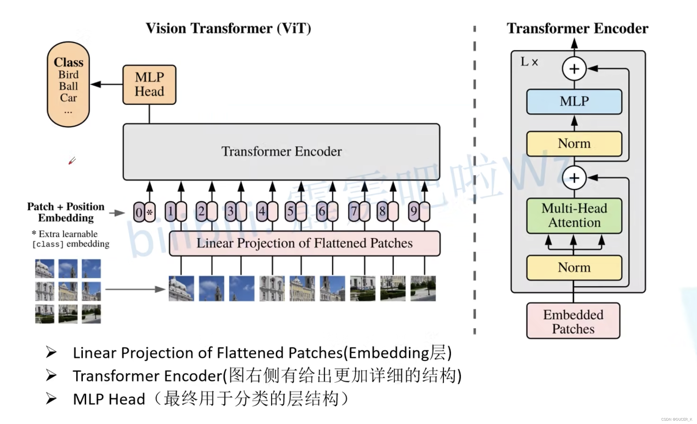 深度学习第六周培训_linear projection of flattened patches-CSDN博客