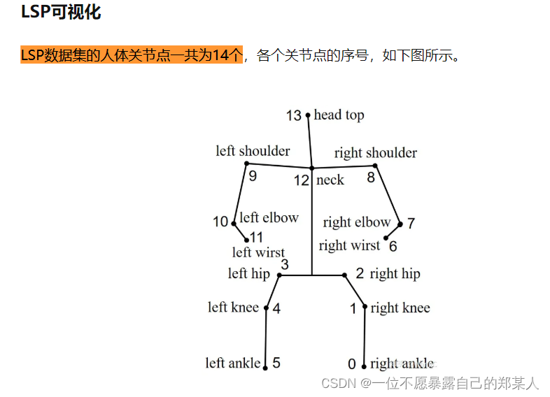 常见人体铰链关节点数据集中的关节点顺序(SMPL，NTU,MPII,Human3.6M)_smpl关节顺序-CSDN博客