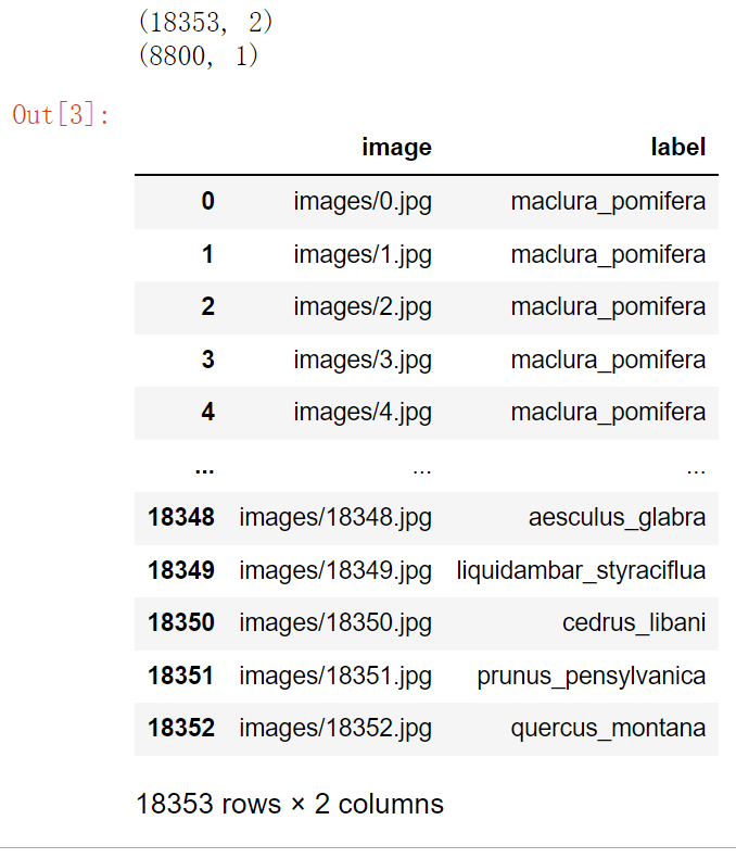 kaggle比赛：Classify Leaves（使用resnet50预训练模型进行：图片树叶分类）_kaggle leaves-CSDN博客