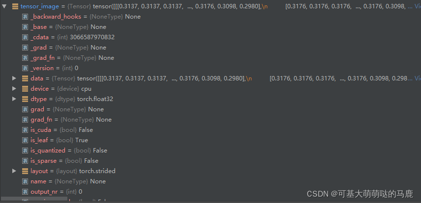 Totensor()函数使用教程totensor Csdn博客