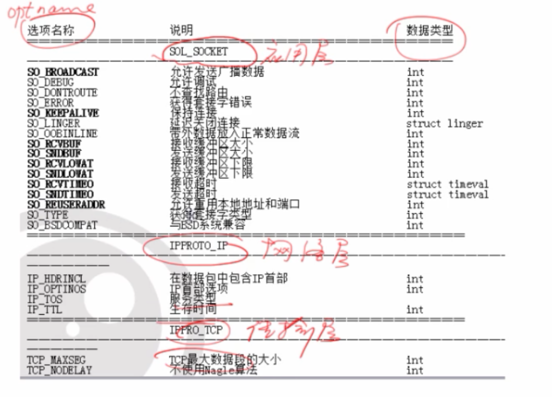 Linux网络编程 网络分析测试工具、封包、ip和tcp头linux Tcp测试工具 Csdn博客