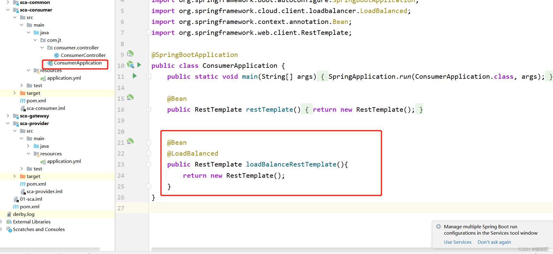 Nacos服务注册中心_his_config_info_懂Java的懒阳阳的博客-CSDN博客
