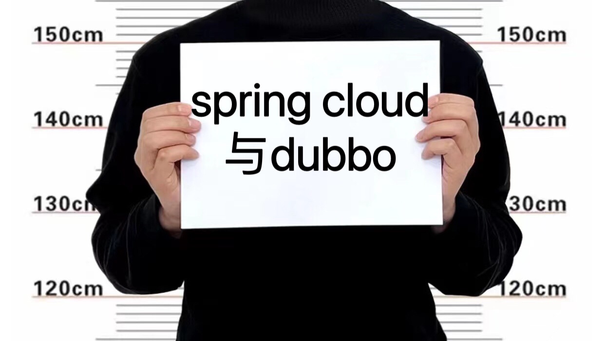 spring cloud 和 dubbo 各自的优缺点是什么?-EW帮帮网