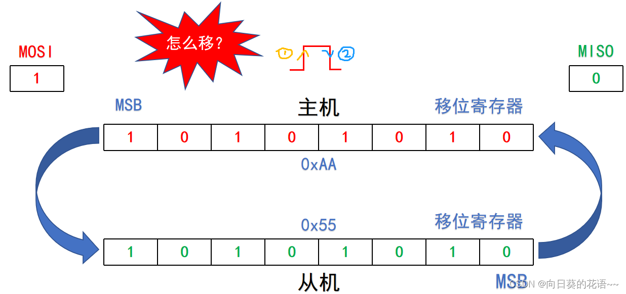 STM8 学习笔记15：SPI_stm8 模拟spi速率-CSDN博客