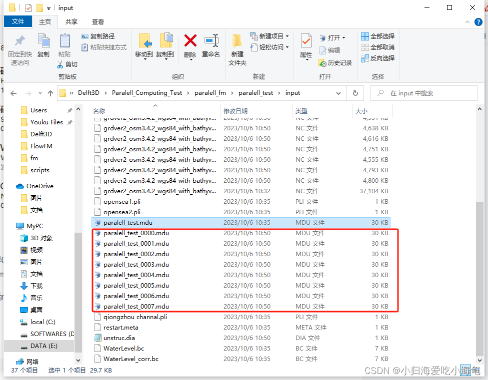 Delft3D FM并行计算方法_csdn delft 3d fm 并行-CSDN博客