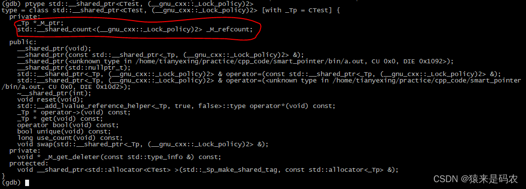 shared_ptr 变量的大小_智能指针几个字节-CSDN博客