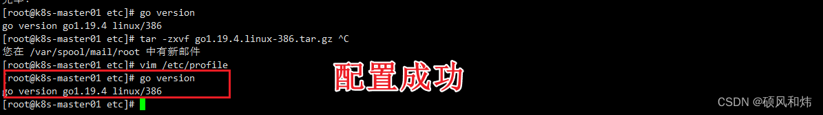 【Linux操作系统安装配置GO环境的详细教程】_linux配置go环境-CSDN博客