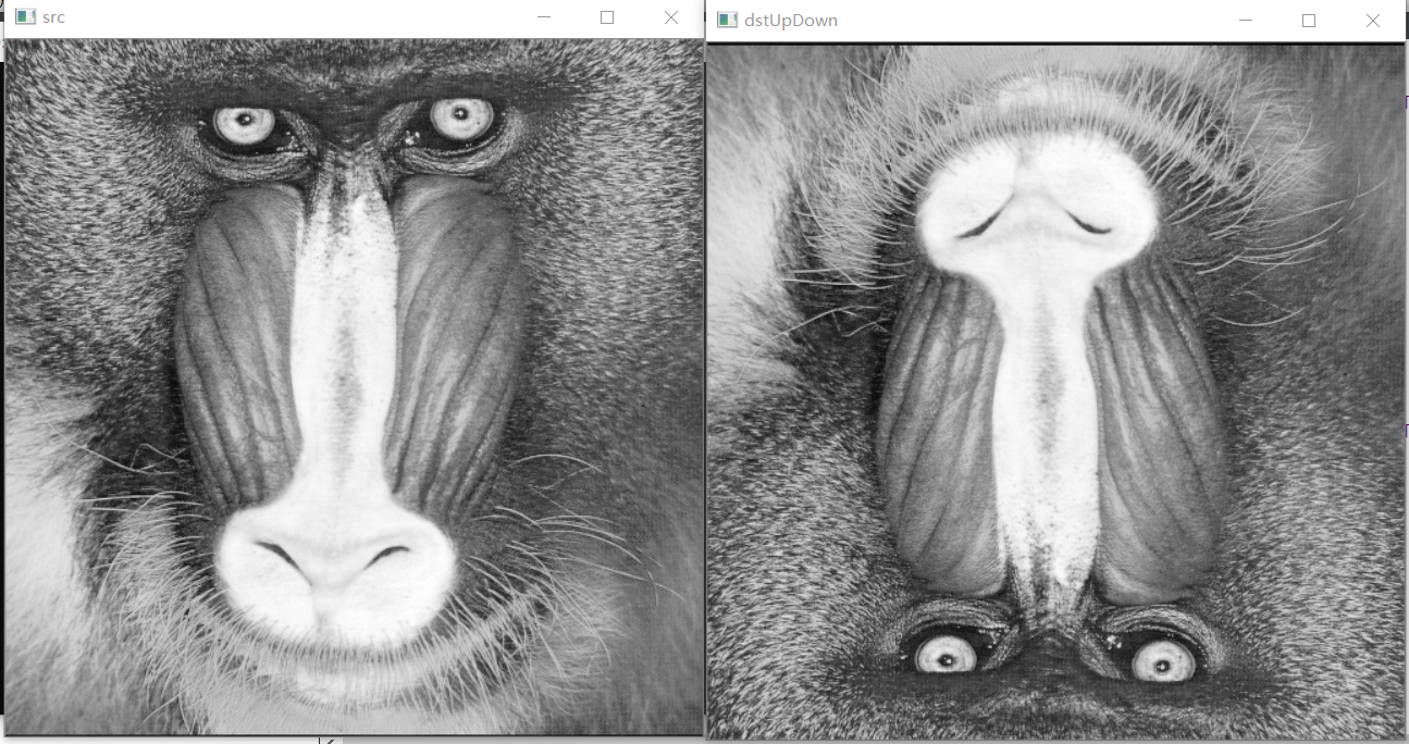 opencv 图像重映射cv::remap()（图像上下、左右镜像）-CSDN博客