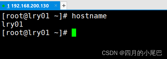 Linux14 NAT网络配置原理 查看网络ip和网关 修改ip地址 指定ip方法 主机名与hosts映射 主机名解析过程_局域网内怎么解析hostname_四月的小尾巴的博客-CSDN博客