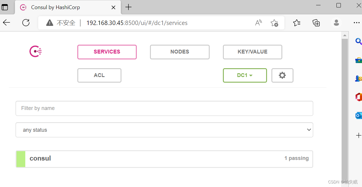 Docker容器-------Consul（注册中心）部署_consul查看已注册服务-CSDN博客