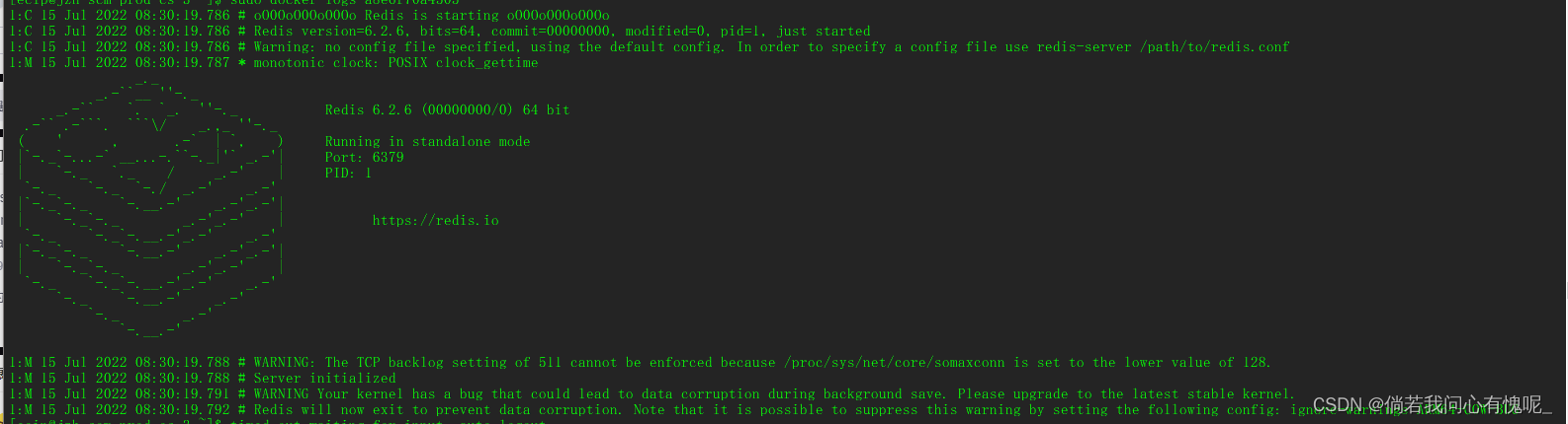 Arm系统redis启动报错 Redis Will Now Exit To Prevent Data Corruption No Csdn博客